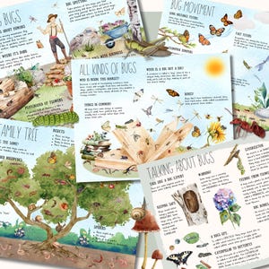 Insect Study and Bug Life Cycles for Kids | Printable Booklet With ...