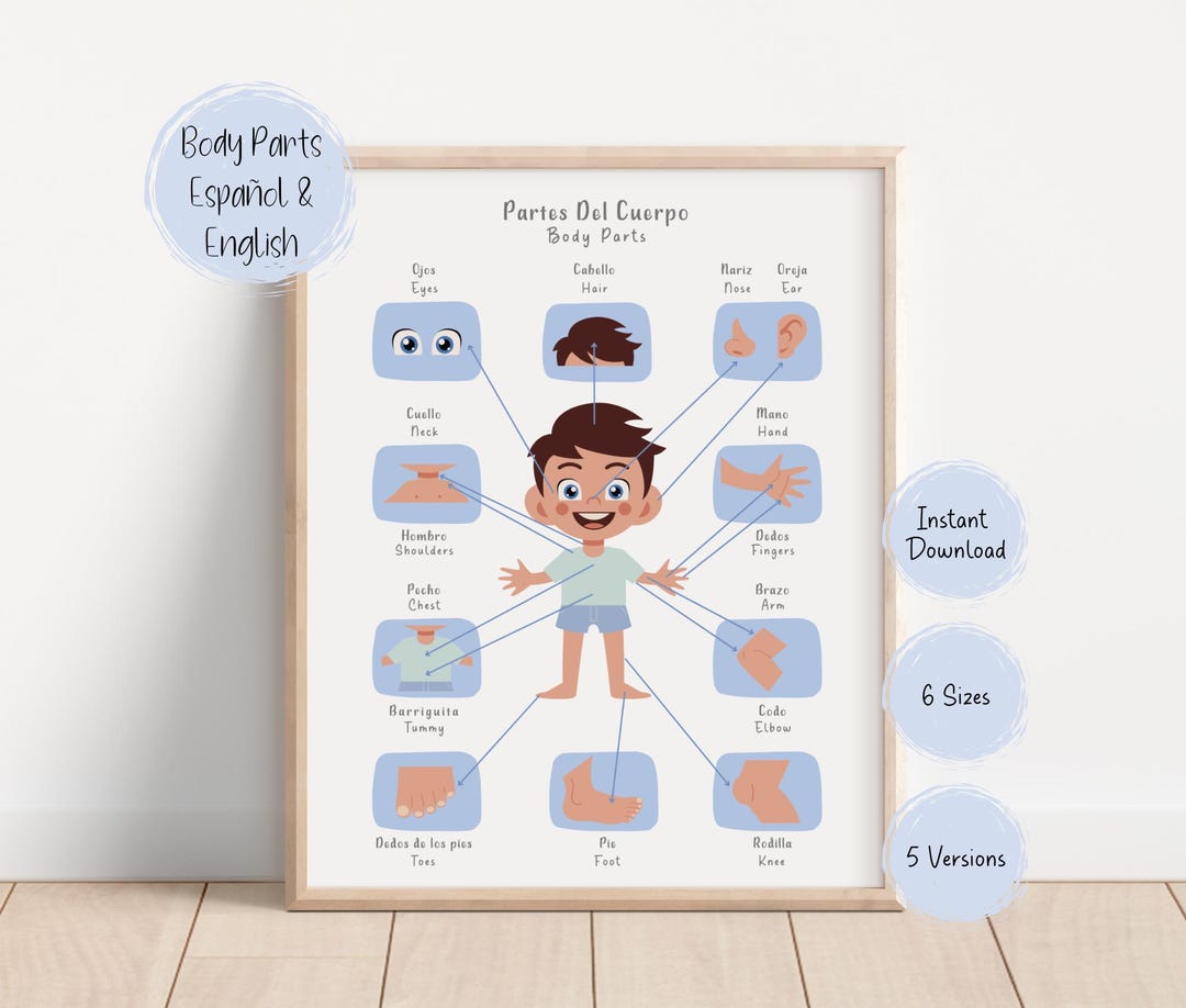 Bilingual Español and English Body Parts Educational Poster, Homeschool ...