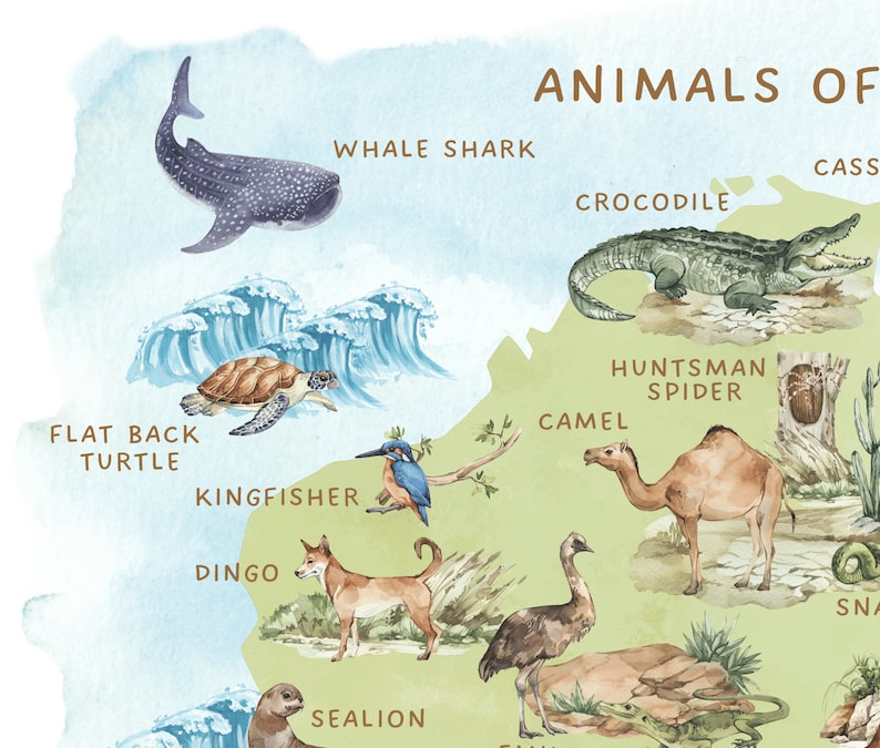 Educational Map of Australian Animals Poster Print for - Etsy Australia