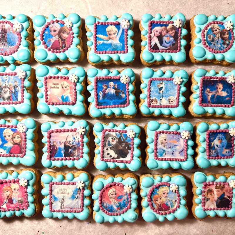 Frozen Cookies - Etsy