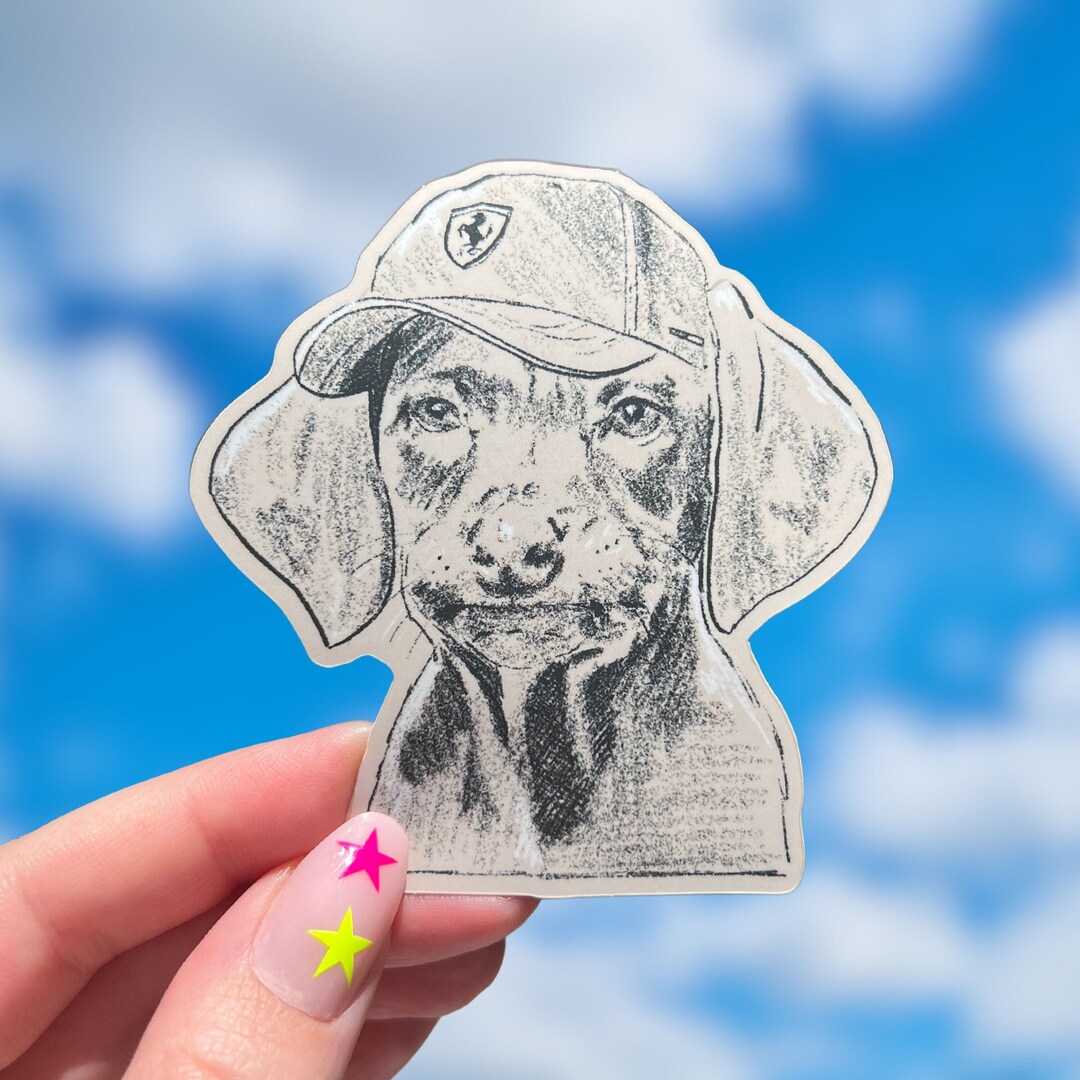 F1 Sticker | Ferrari Dog Meme Sticker | Cute F1 Sticker for Notebooks ...