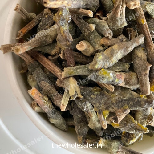 Bhikamali - Dikamali - Gardenia Gummifera - Etsy