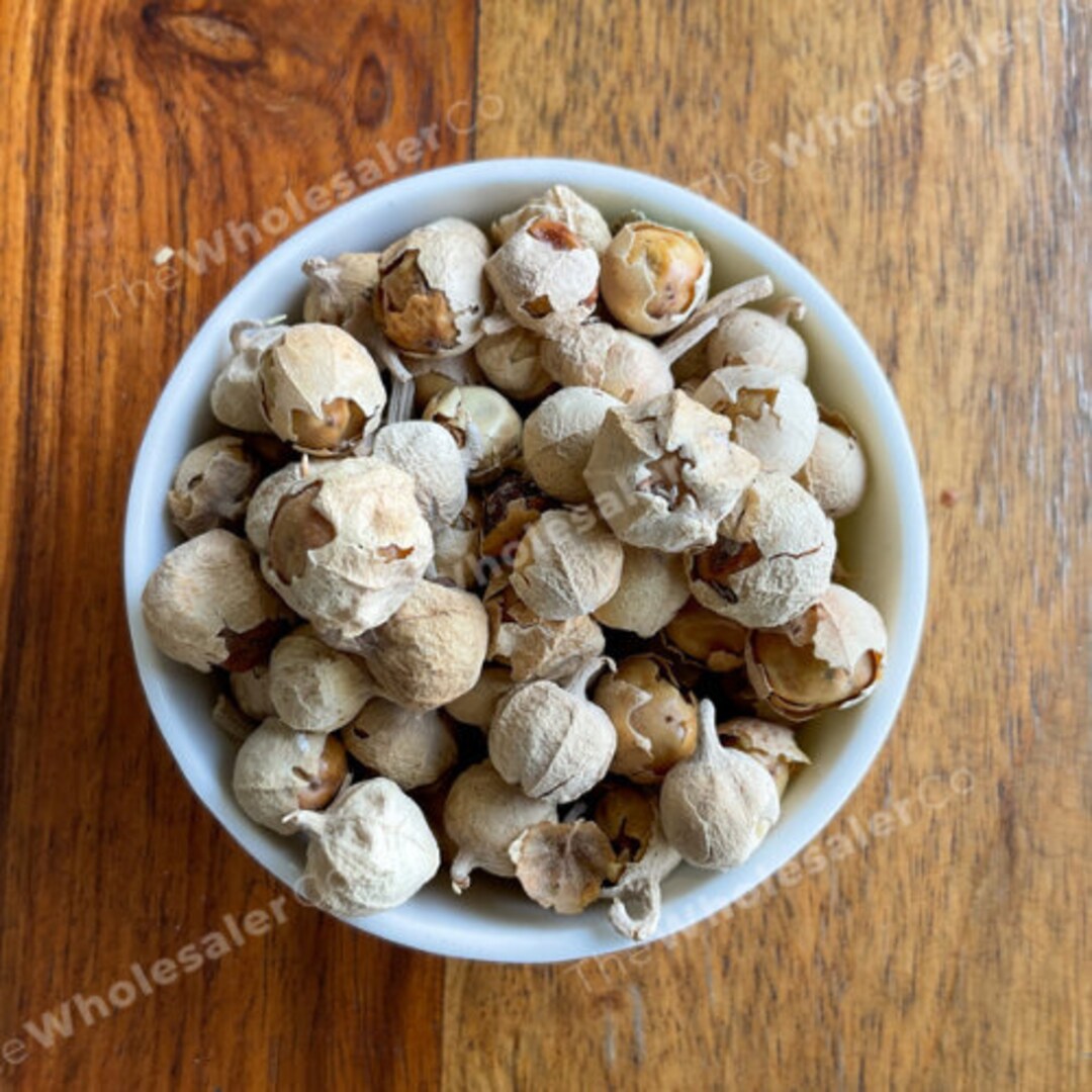 Paneer Dodi - Paneer Ke Phool - Withania Coagulan - Etsy