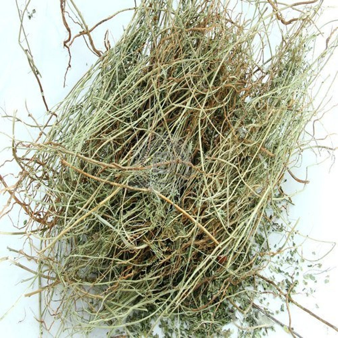 Bhumi Amla- Bhumi Aamla - Bhoomi Awla - Phyllanthus Niruri - Etsy