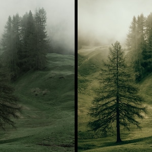 4 Forest Green Mobile & Desktop Lightroom Preset Pack | Forest Preset ...