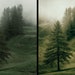 4 Forest Green Mobile & Desktop Lightroom Preset Pack | Forest Preset ...