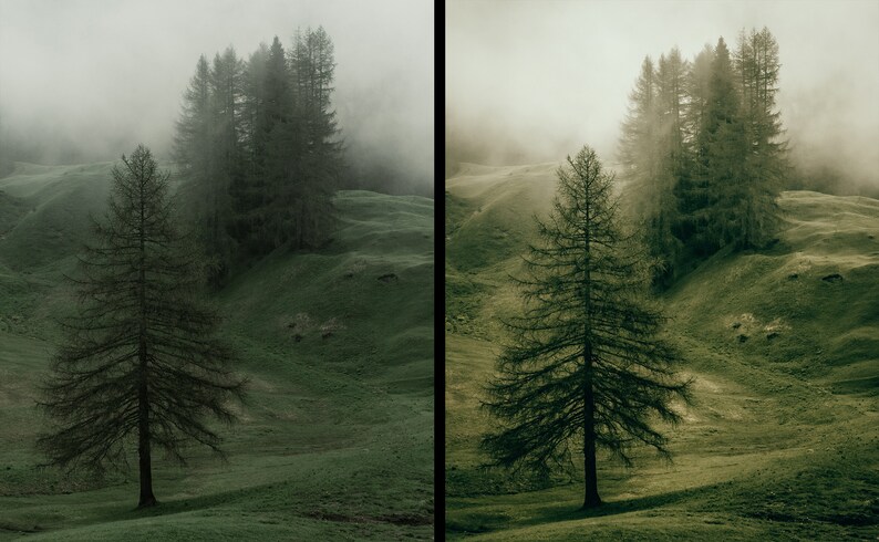 4 Forest Green Mobile & Desktop Lightroom Preset Pack | Forest Preset ...