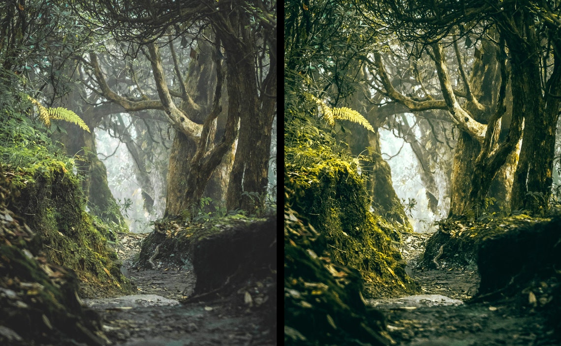 4 Forest Green Mobile & Desktop Lightroom Preset Pack | Forest Preset ...