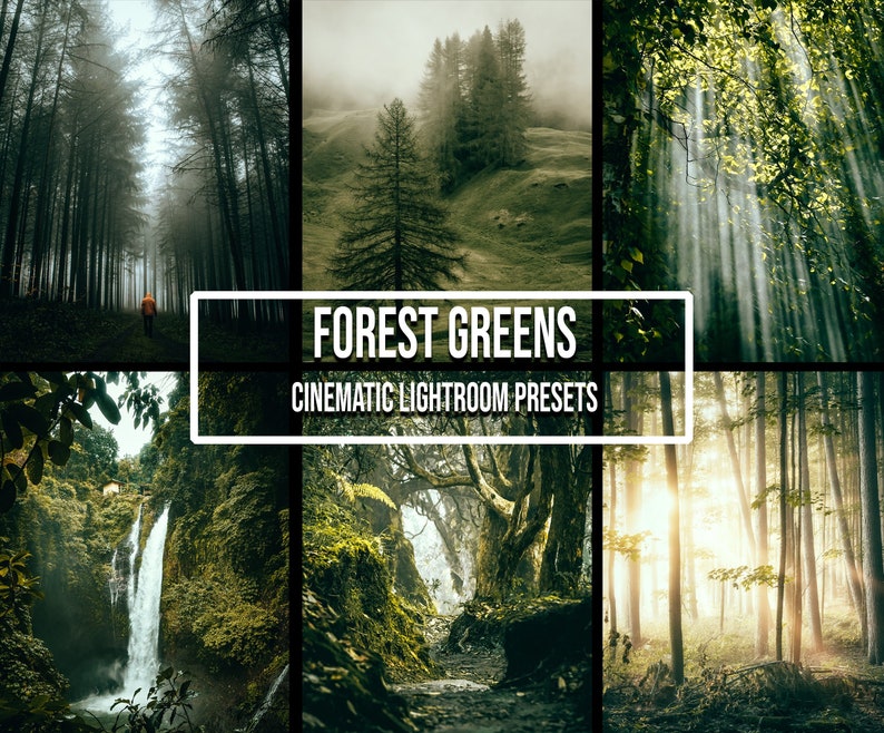 4 Forest Green Mobile & Desktop Lightroom Preset Pack | Forest Preset ...