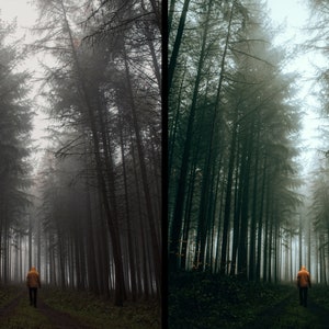 4 Forest Green Mobile & Desktop Lightroom Preset Pack | Forest Preset ...