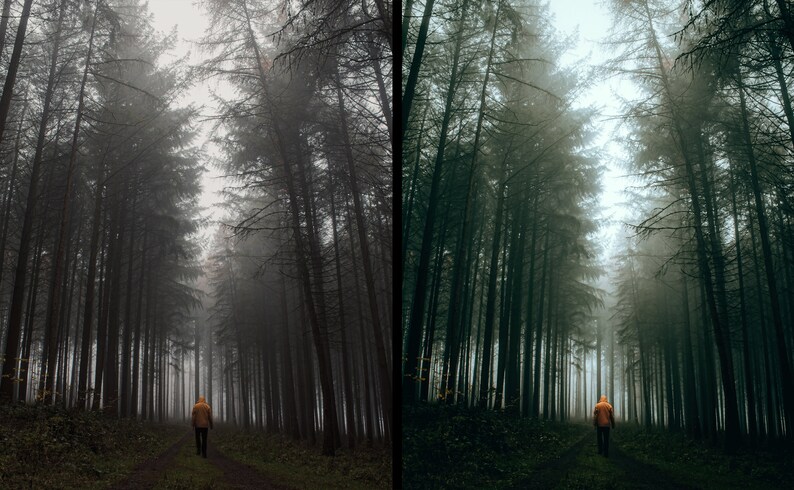 Forest Green Lightroom Presets | Earthy, Moody Tones (desktop & Mobile ...