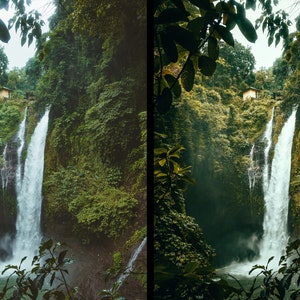 4 Forest Green Mobile & Desktop Lightroom Preset Pack | Forest Preset ...