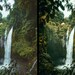 4 Forest Green Mobile & Desktop Lightroom Preset Pack | Forest Preset ...