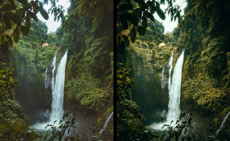 4 Forest Green Mobile & Desktop Lightroom Preset Pack | Forest Preset ...