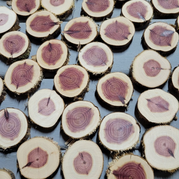 Tree Branch Slices - Etsy