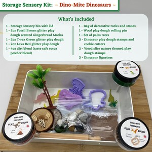 Dino-mite Dinosaurs - Sensory Play Kit - Etsy