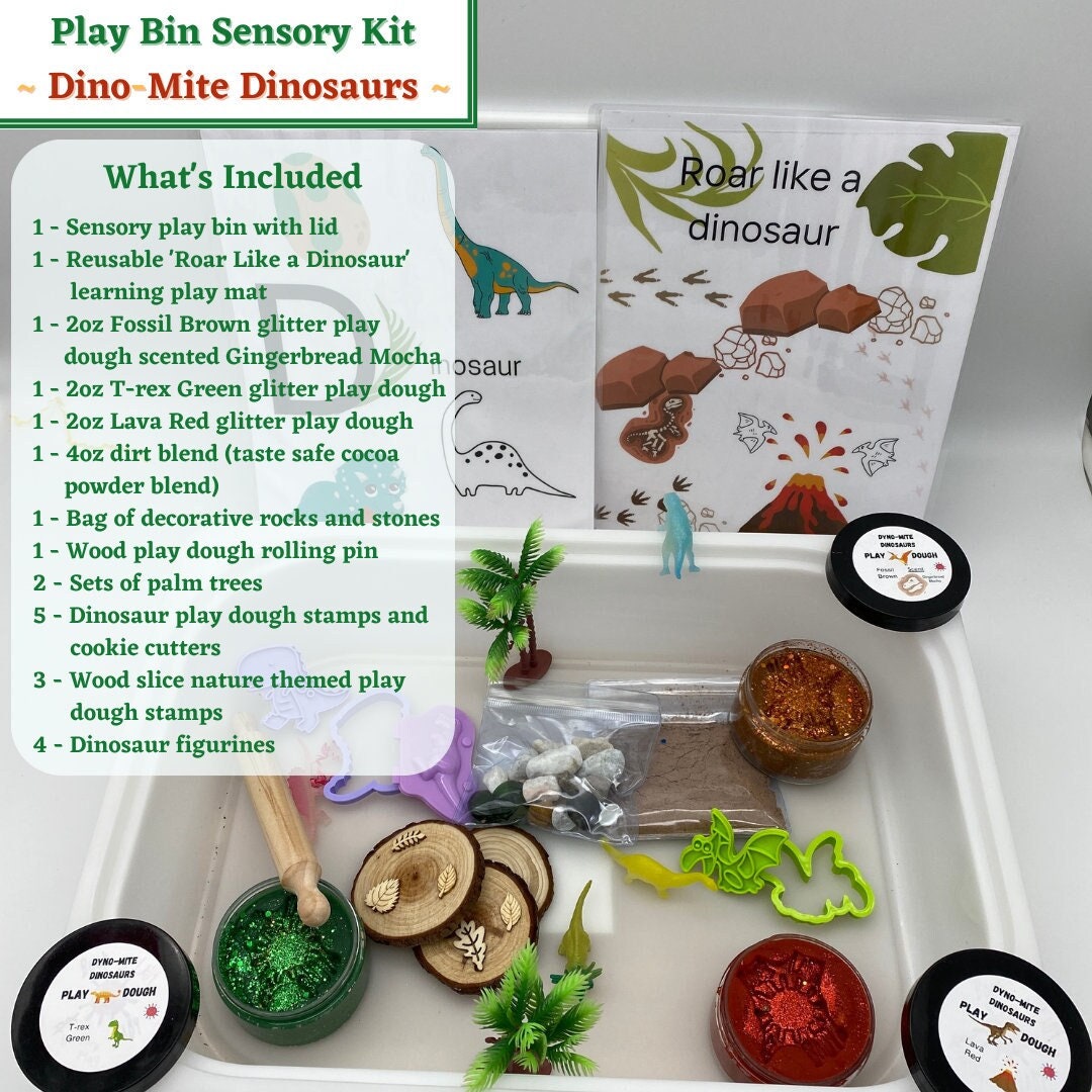 Dino-mite Dinosaurs - Sensory Play Kit - Etsy