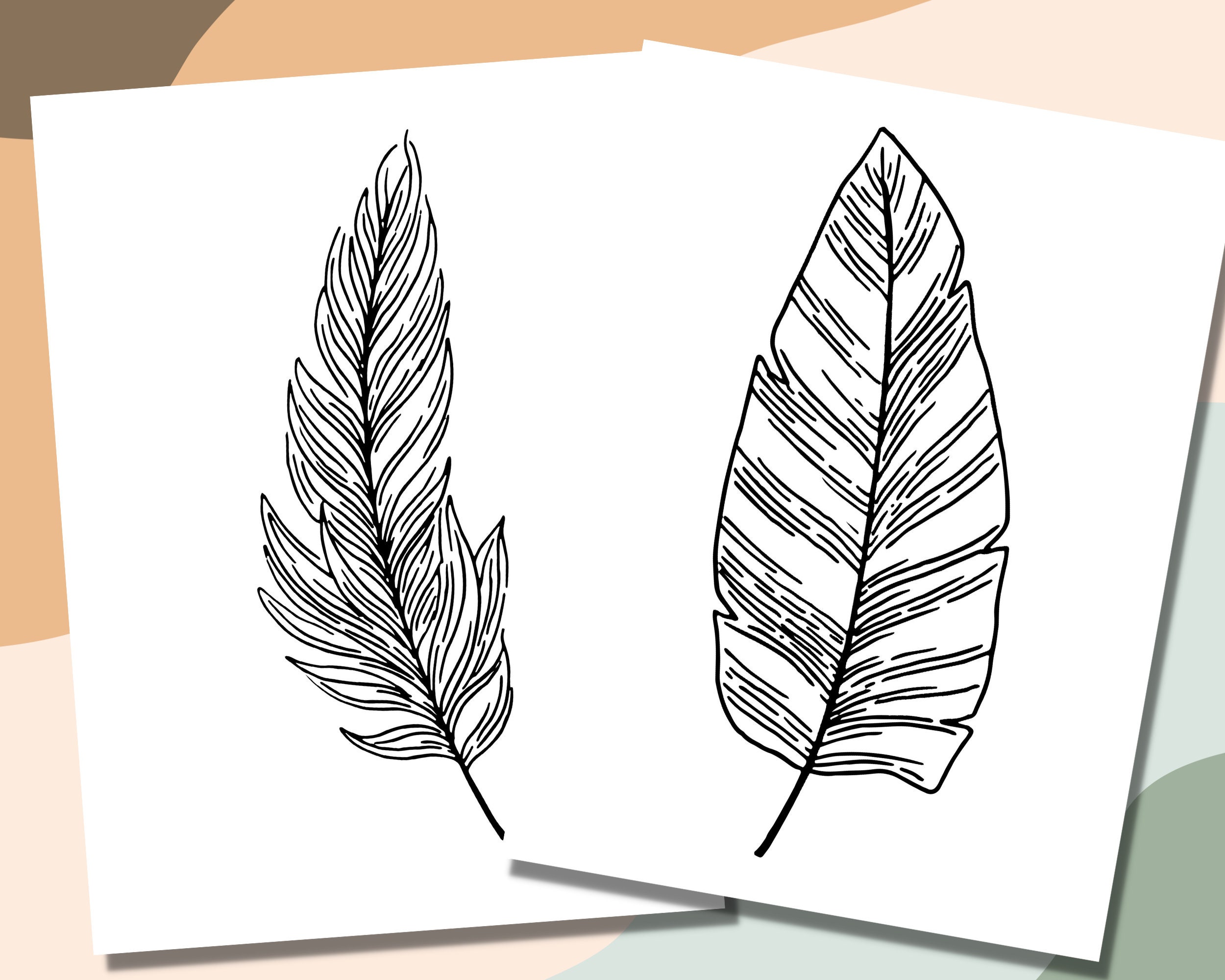 Feather Coloring Pages: 20 Printable Feather Designs (PDF) - Etsy
