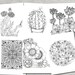 110 Flower Digital Coloring Pages Bundle for Adults and - Etsy