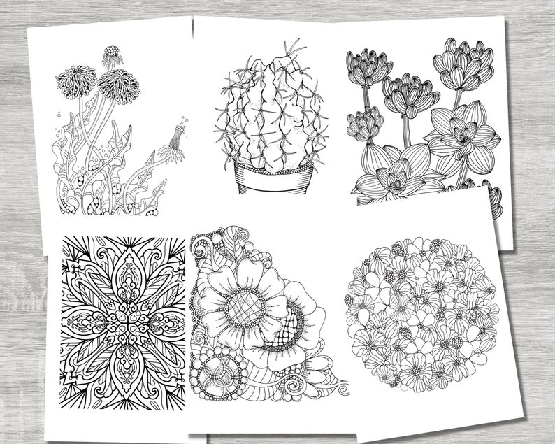 110 Flower Digital Coloring Pages Bundle for Adults and Children ...