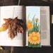 Printable Bookmark Nature Bookmark Book Art Print Bookish - Etsy