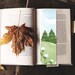 Printable Bookmark Nature Bookmark Book Art Print Bookish - Etsy