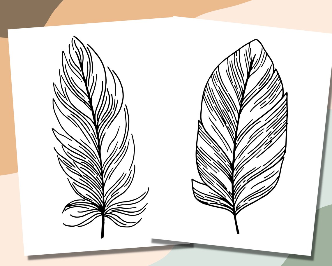Printable Feathers Coloring Pages 20 Feather Coloring Sheets - Etsy
