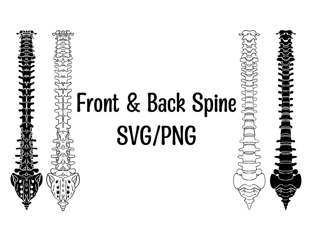 8 Pack Spine SVG/PNG for Cricut & More - Etsy