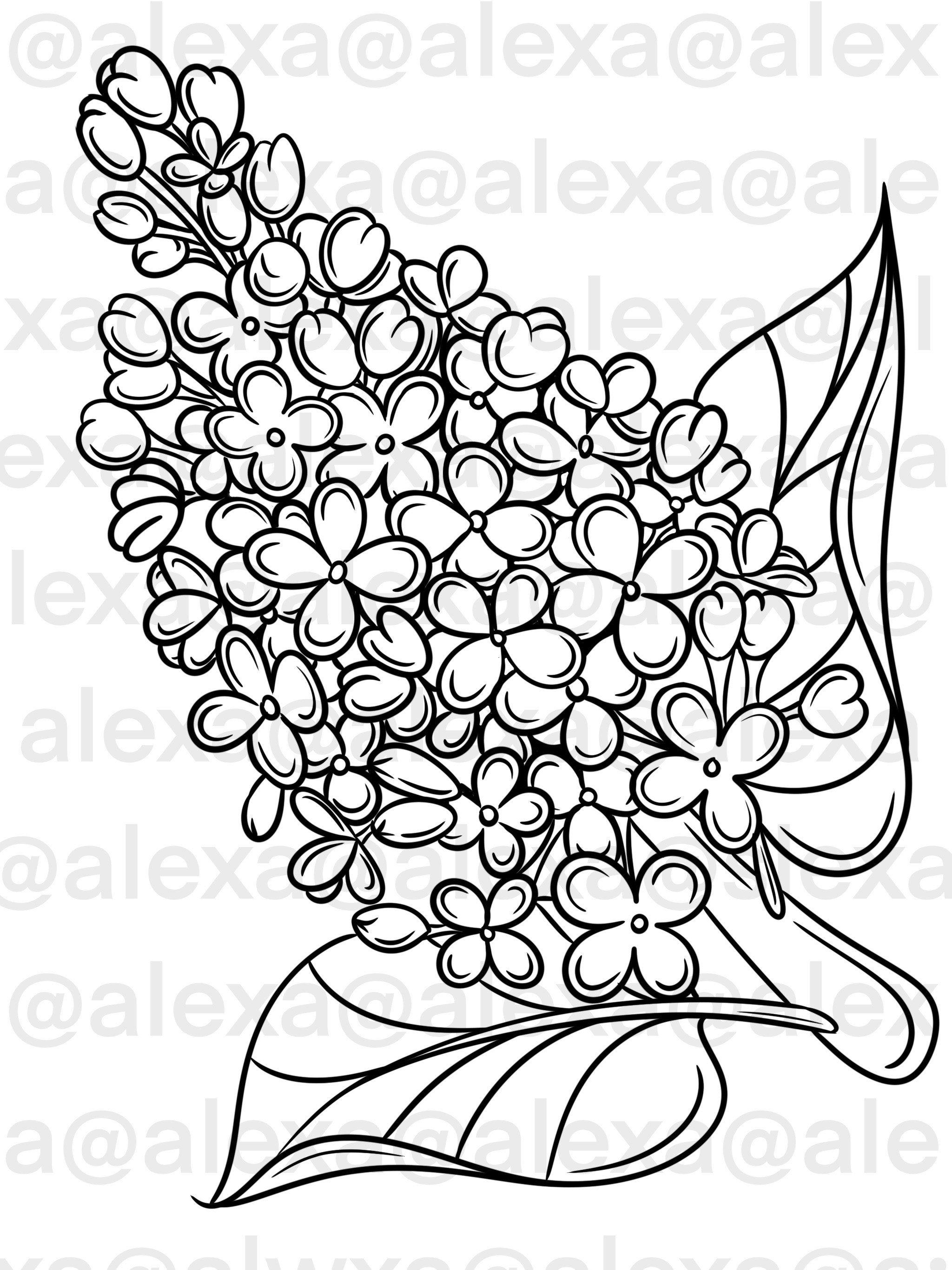 2pk SVG/PNG Lilac for Cricut and Other Digital Apps - Etsy