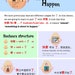 Integrated Chinese Volume 1 Lesson 1-10 Grammar Infographics ...