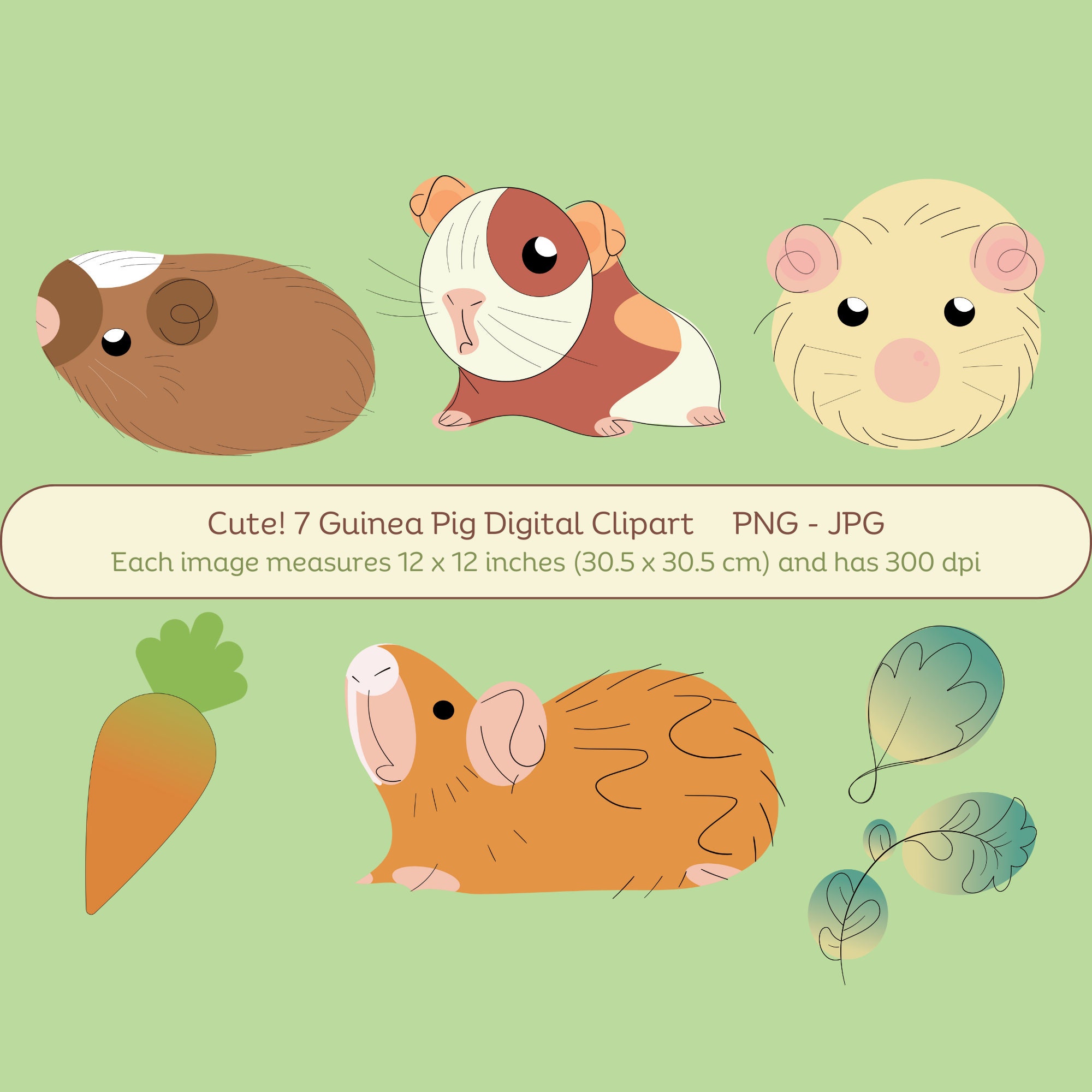 Guinea Pigs Clipart Cute Guinea Pigs Clip Art Guinea Pigs Faces Guinea ...