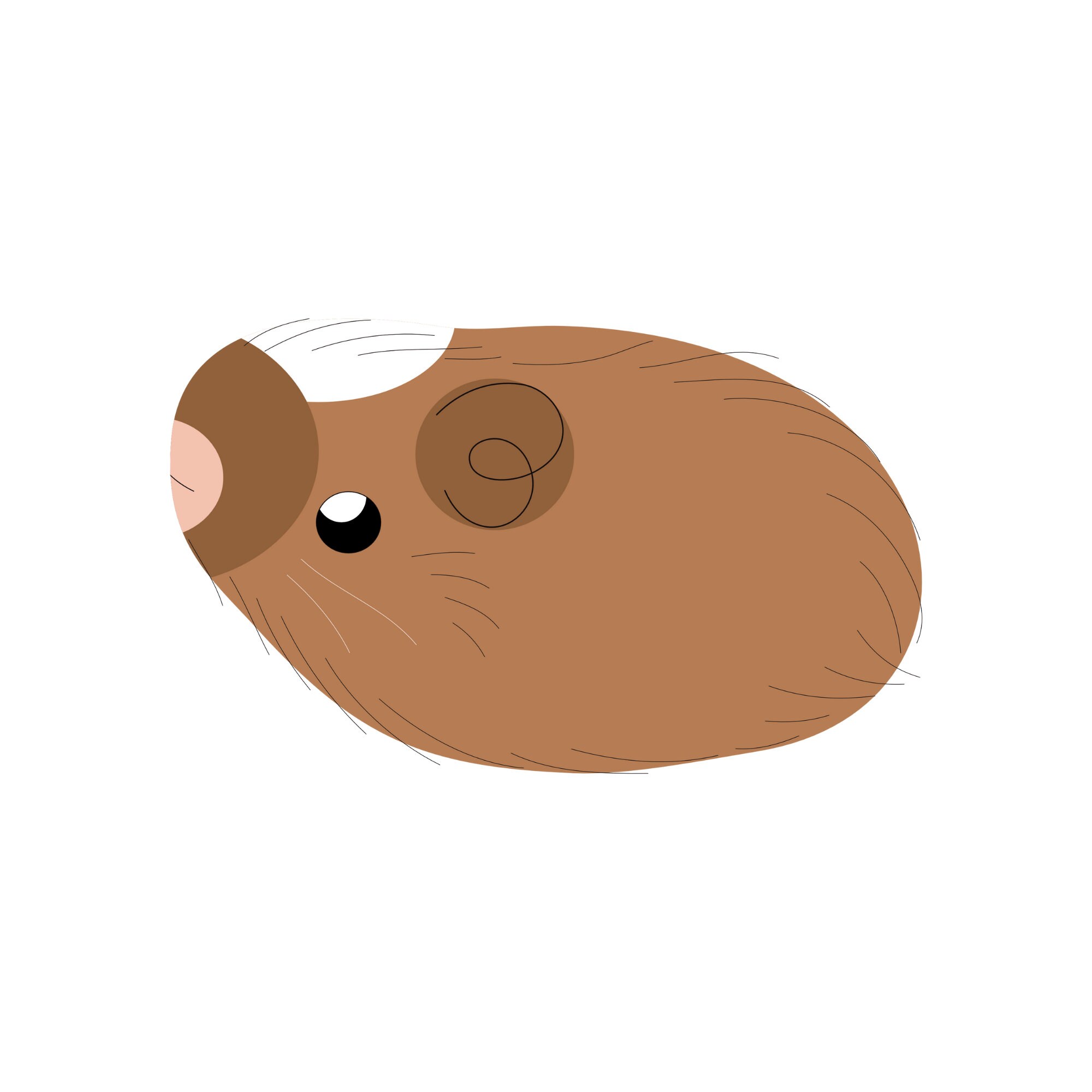 Guinea Pigs Clipart Cute Guinea Pigs Clip Art Guinea Pigs Faces Guinea ...