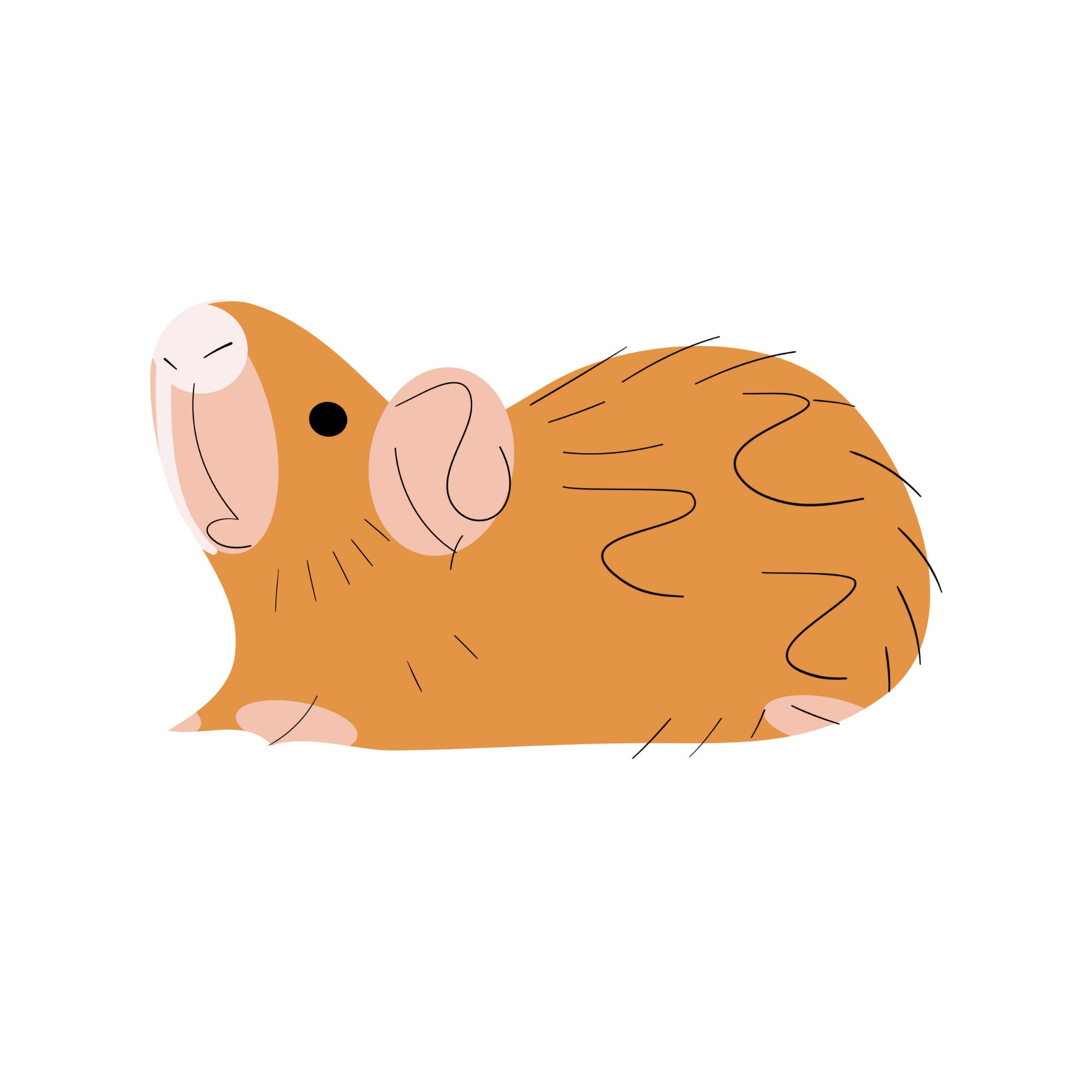 Guinea Pigs Clipart Cute Guinea Pigs Clip Art Guinea Pigs Faces Guinea ...