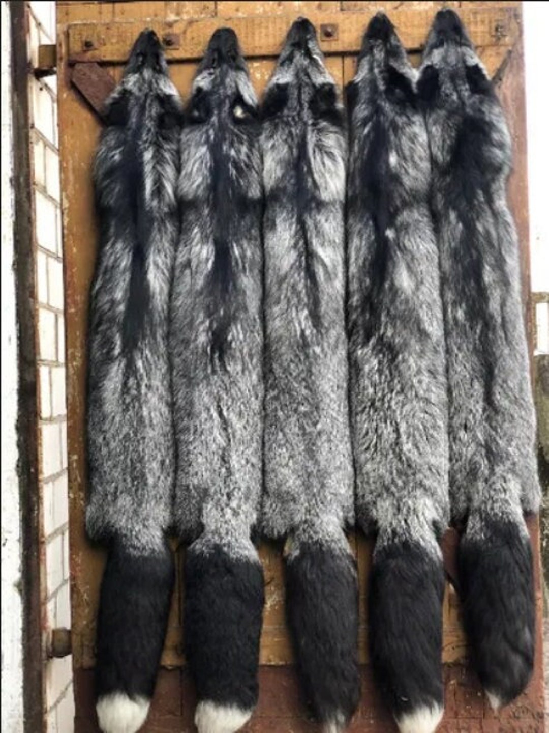 Quality MEGA SIZE Genuine Silver Fox Fur 63' . Saga Furs Both Sides ...