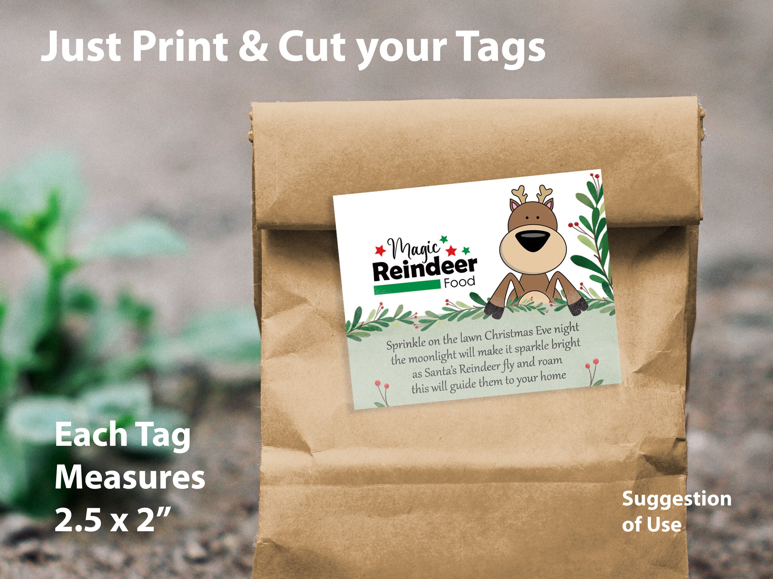 Magic Reindeer Food Label – Christmas Gift Tag (printable PDF) - Etsy