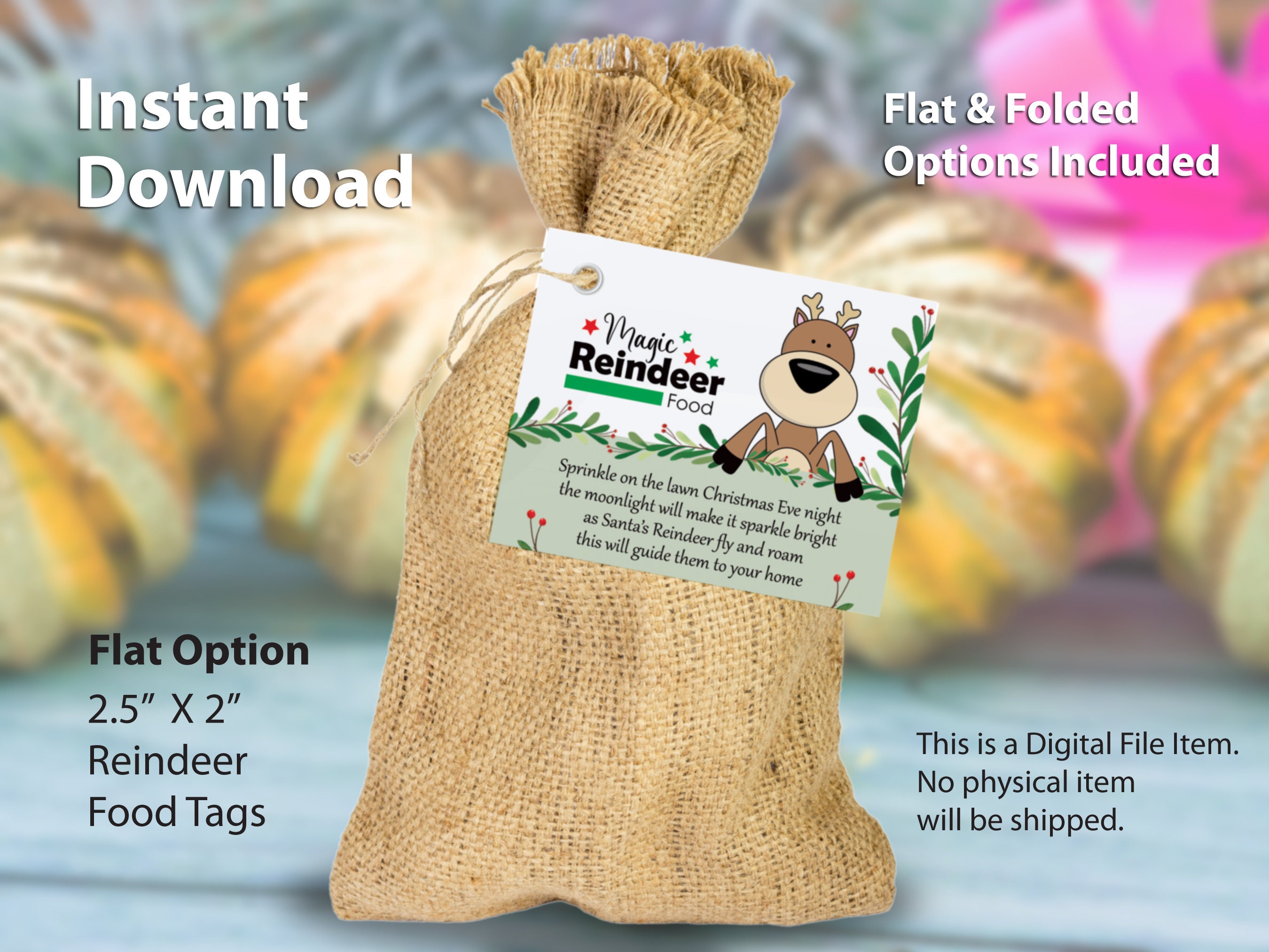Magic Reindeer Food Label – Christmas Gift Tag (printable PDF) - Etsy