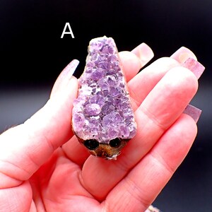Choice of Cute Crystal Critters Amethyst and Citrine Cluster Stones ...