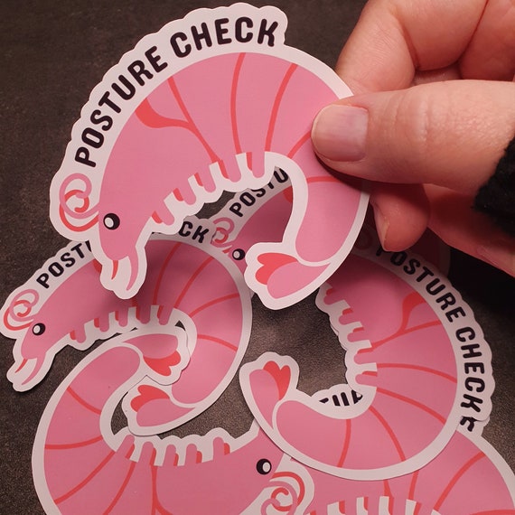 Posture Check Shrimp Vinyl Matte Sticker - Etsy