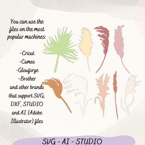 Pampas Grass SVG Cut File for Cricut, Boho Palms Laser Cut, Tropical ...