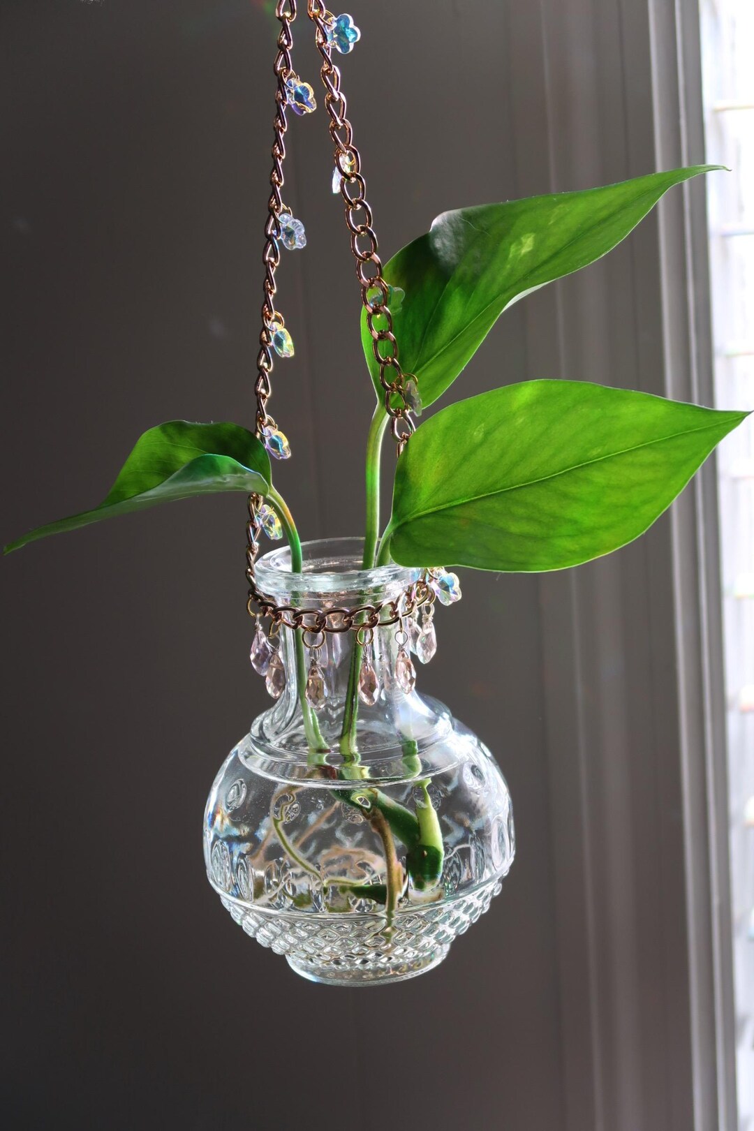 Propagation Vase, Plant Decor, Glass Vase, Plant Gift, Valentine’s Day ...