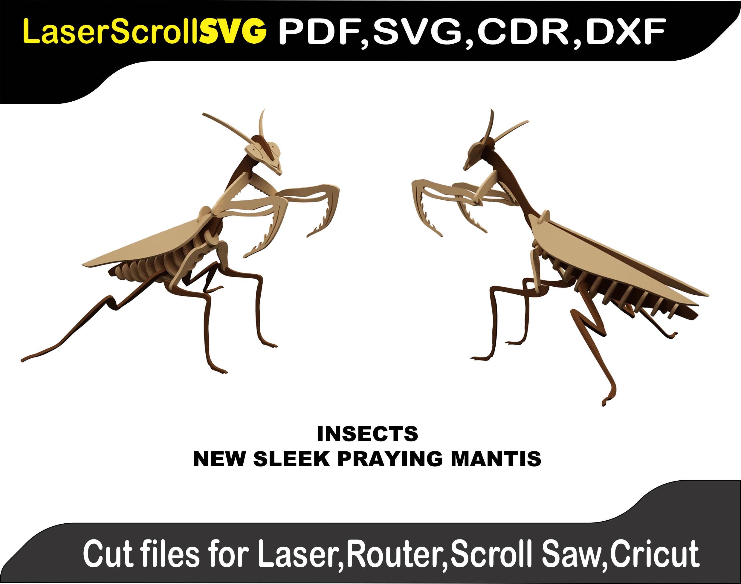 New Sleek Praying Mantis Insect Digital Pattern File Laser SVG DXF CDR ...