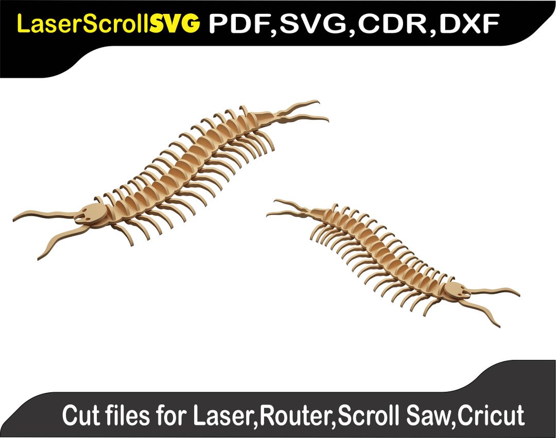 Kool Centipede Insect Digital Pattern File for Laser SVG DXF CDR ...