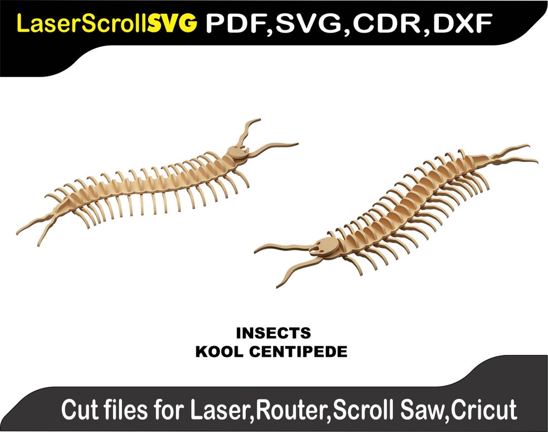 Kool Centipede Insect Digital Pattern File for Laser SVG DXF CDR ...