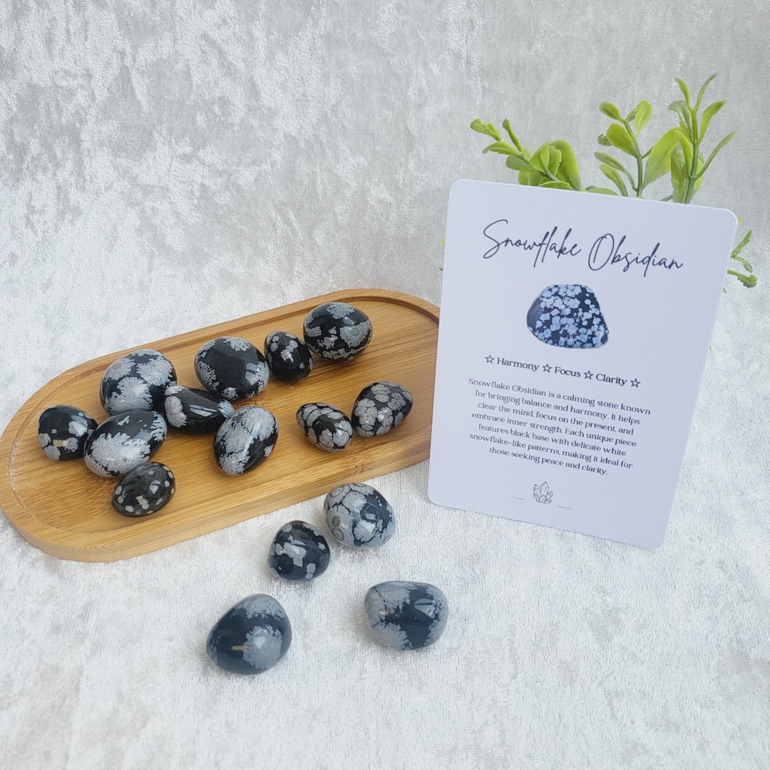 Snowflake Obsidian Tumble Stone Natural Gemstone With Info Card Medium ...