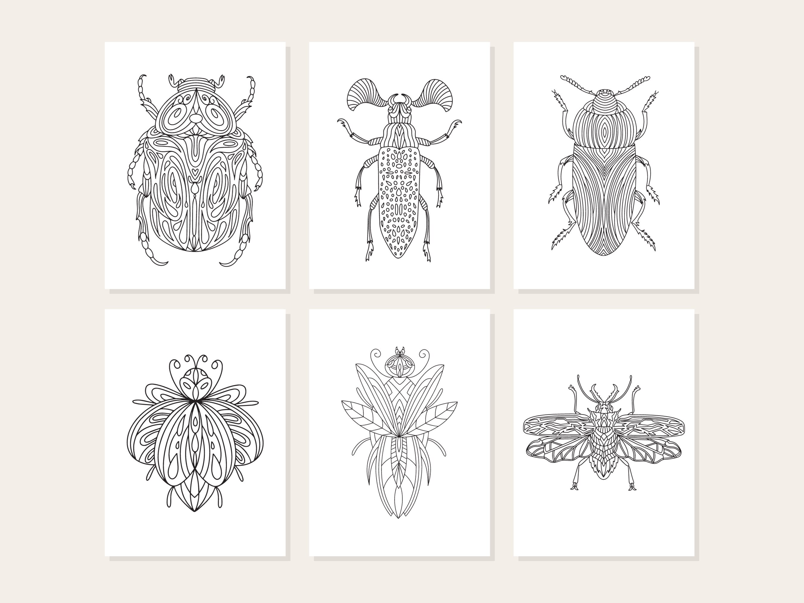 13 Pages Insect Bug Coloring Book, Adult Coloring Book, Detailed ...