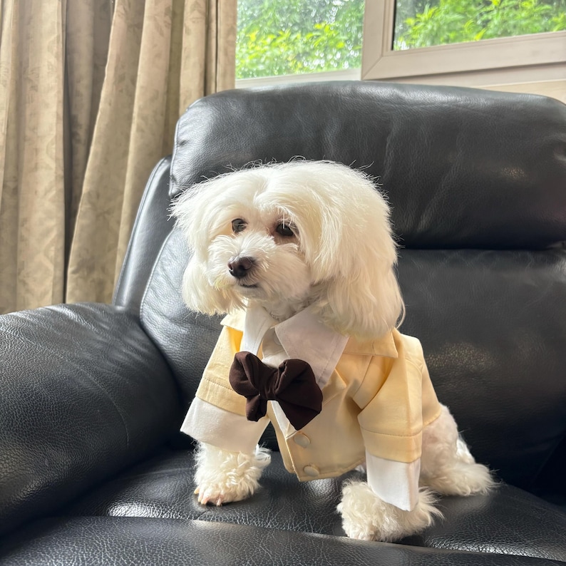 Customizable Dog Tuxedo With Bowtie, Pet Wedding Attire - Etsy