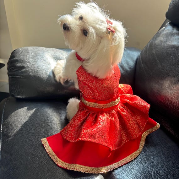Pet dress store