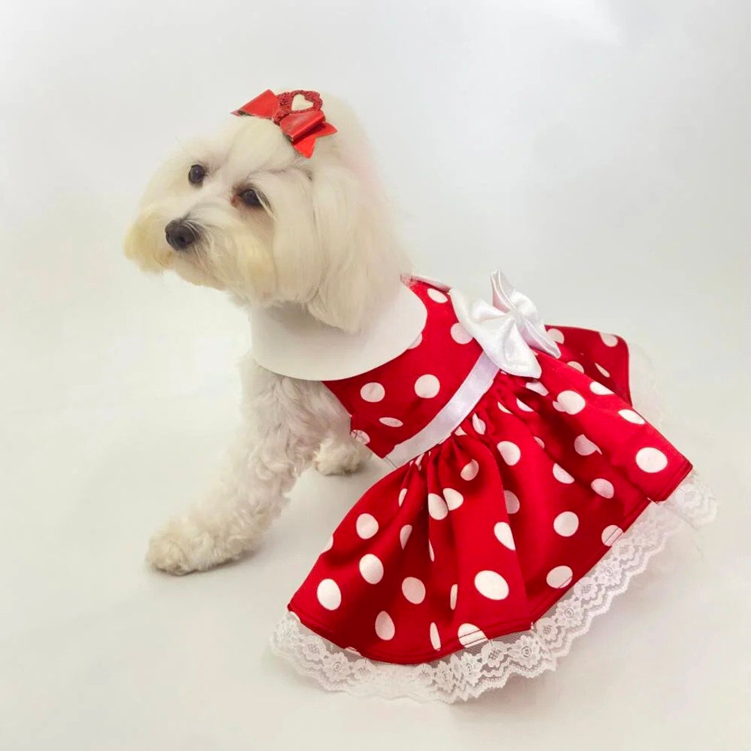 Minnie Mouse Dog Halloween Costume - Adorable Pet Dress for Trick-or ...
