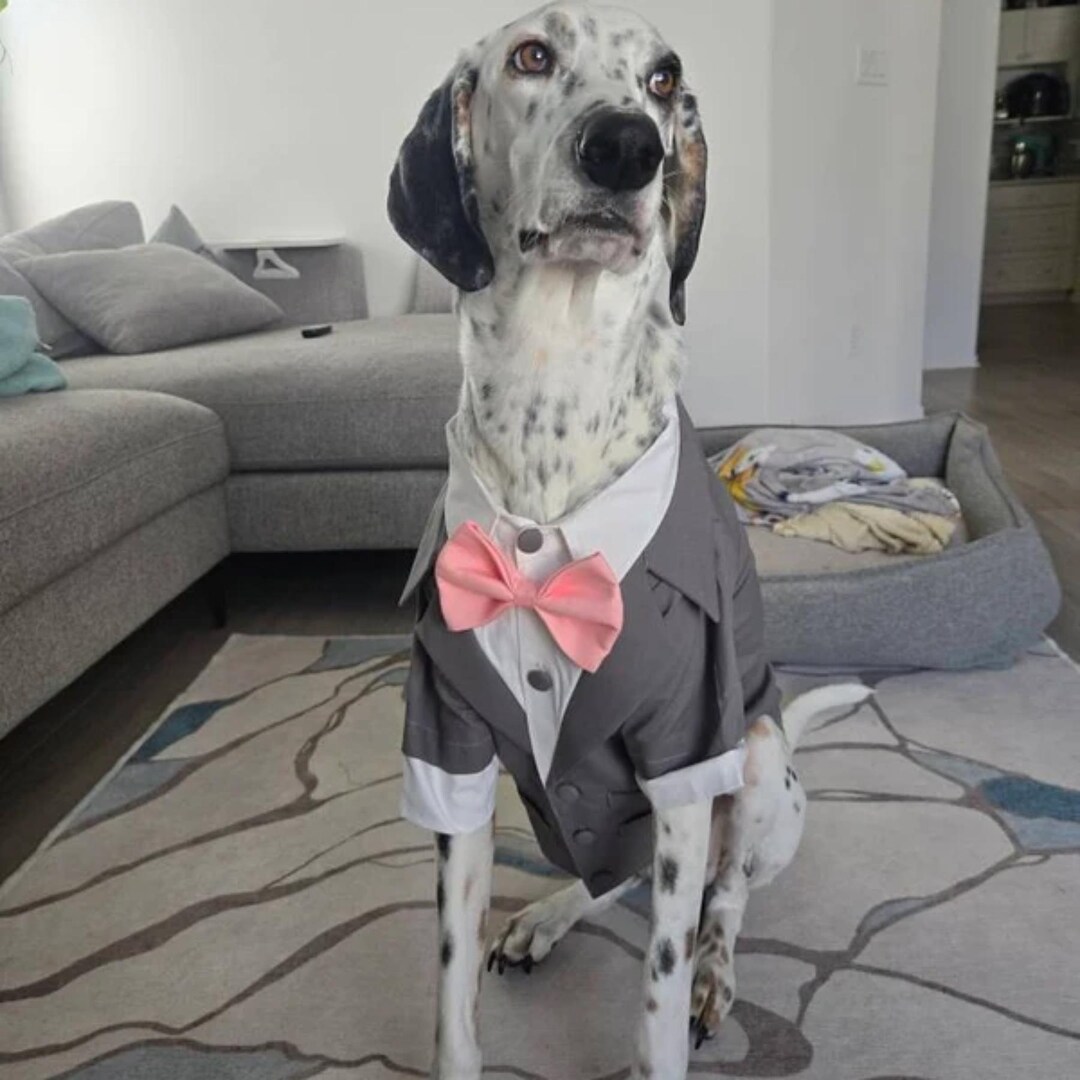 Customizable Dog Tuxedo With Bowtie, Pet Wedding Attire - Etsy