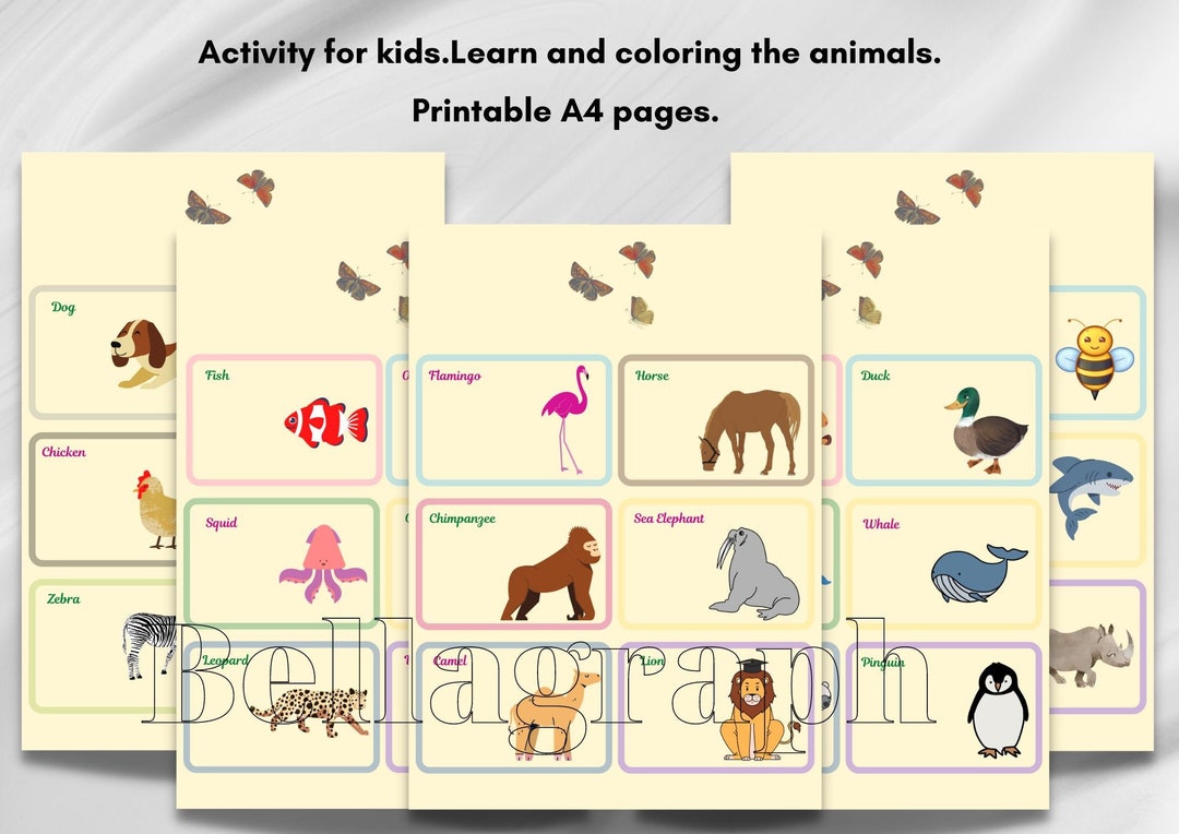 Learn the Animals|coloring Pages|printable|digital Flashcards| - Etsy